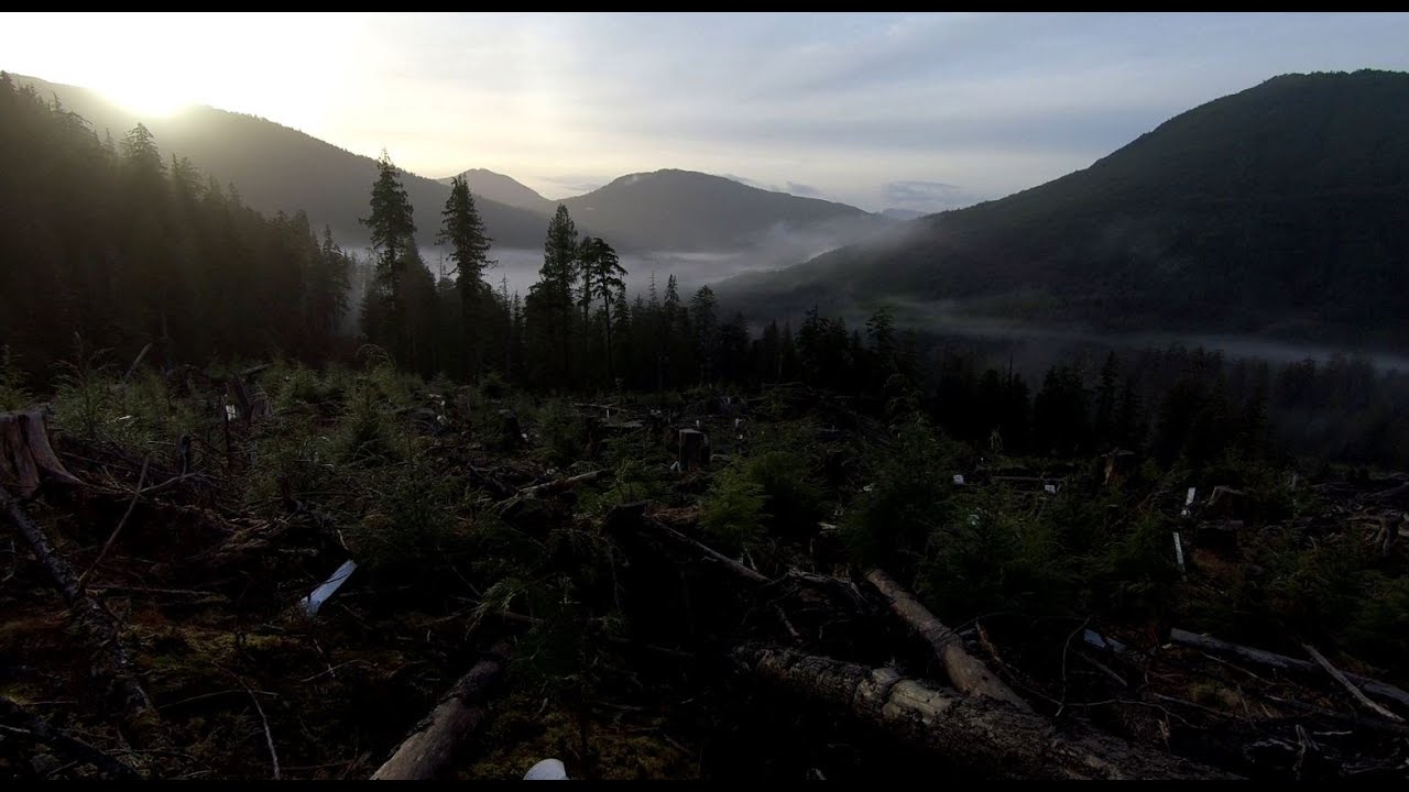 Meadow Ghosts - Haida Gwaii BC Solo Deer Hunting Adventure - YouTube