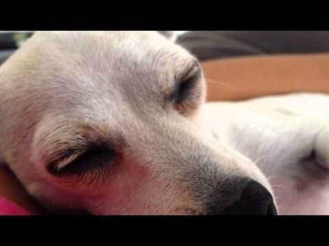 Maybe he wanted to smell my armpit?