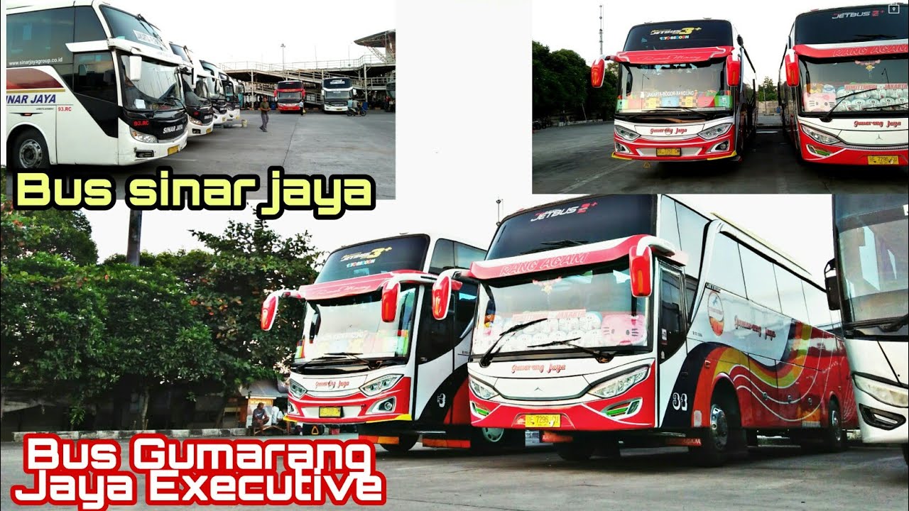 Bus Gumarang Jaya Executive Class |Bus sinar Jaya Executive Class ...