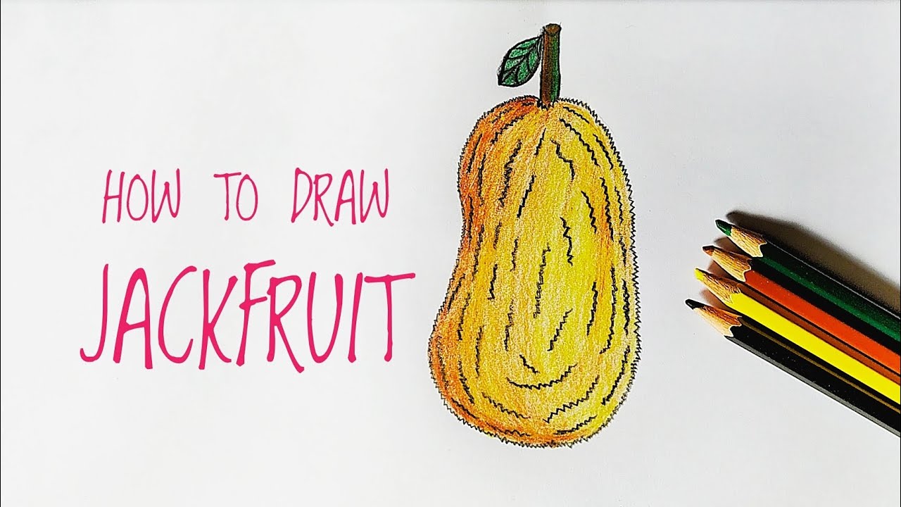 How To Draw A Jackfruit Very Easy Way | Jackfruit Step By Step Drawing ...