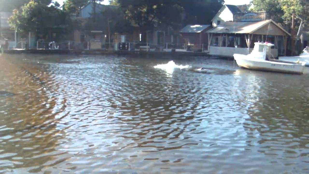 Jaws Eats Man Universal Studios - YouTube