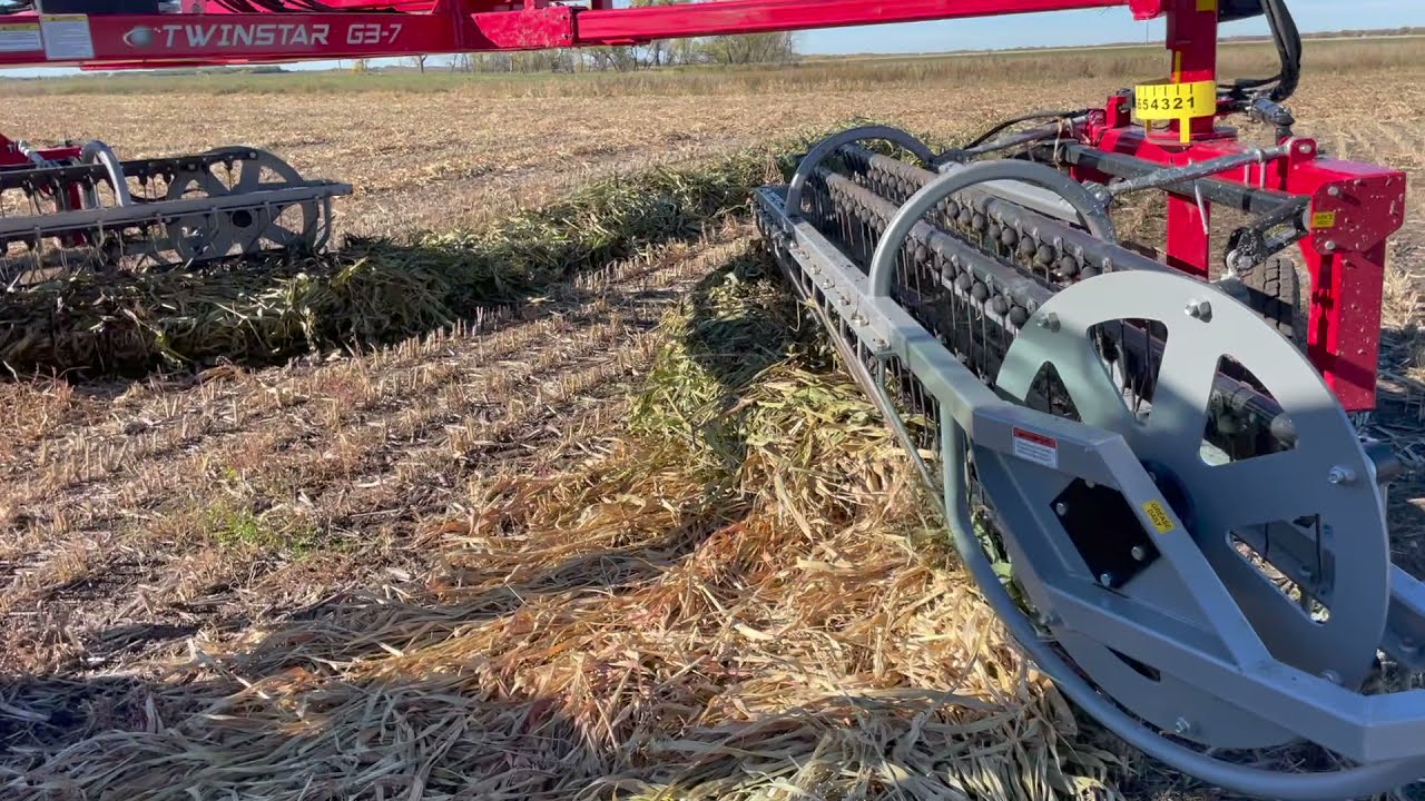 TWINSTAR Rake FLIPPING Sorghum windrows - YouTube