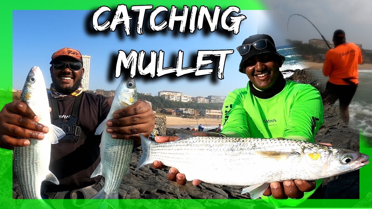 Mullet Run - Tricky but Fun @Amanzimtoti - YouTube