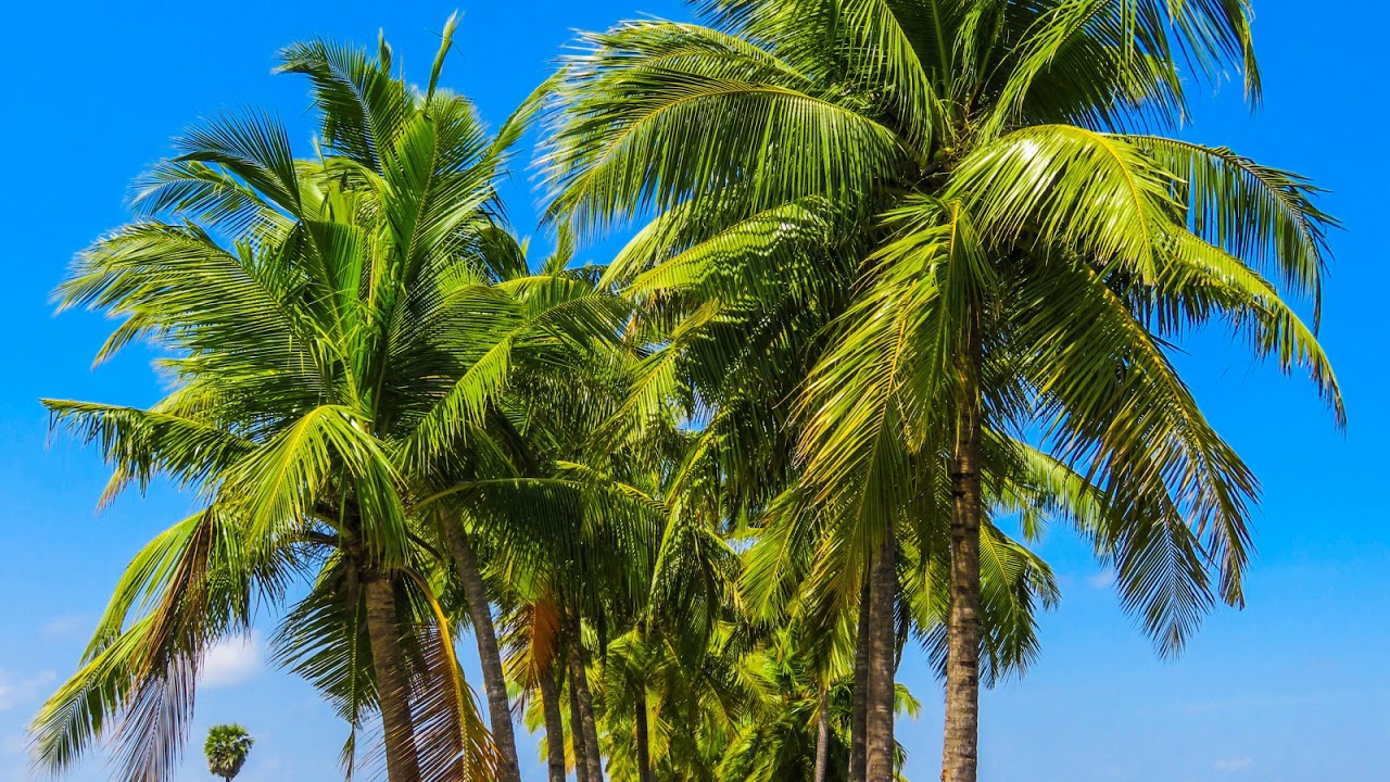 Relaxing Writing Music For Kids - Music For Relaxation - YouTube