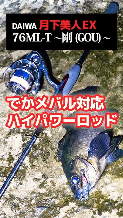 DAIWA 月下美人EX 76ML-T ～剛（GOU）／でかメバル対応ハイパワーロッド - YouTube