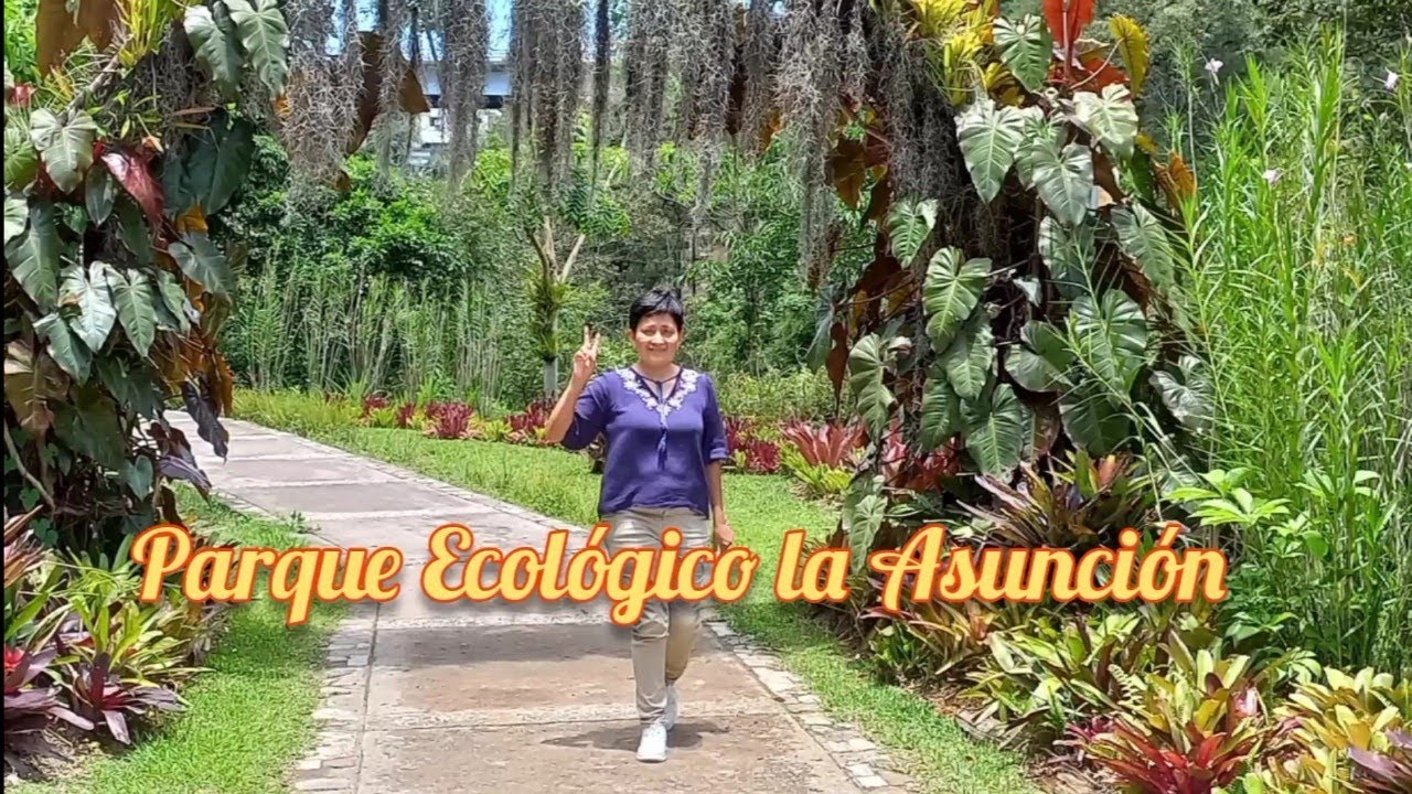Parque Ecológico La Asunción en la Ciudad de Guatemala - YouTube