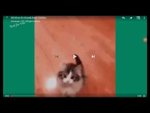 Abimle gül meme çalınç yaptım