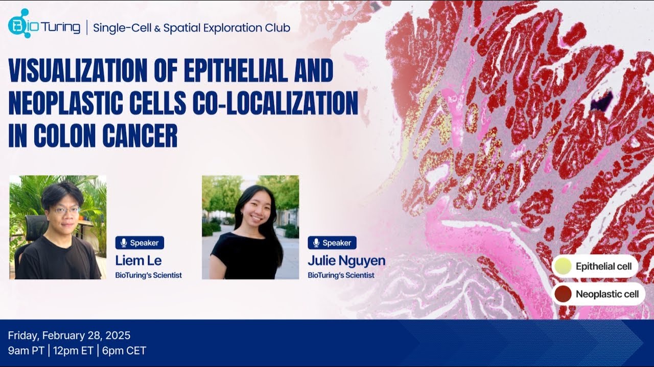 EP27: Visualizing epithelial and neoplastic cells co-localization in ...