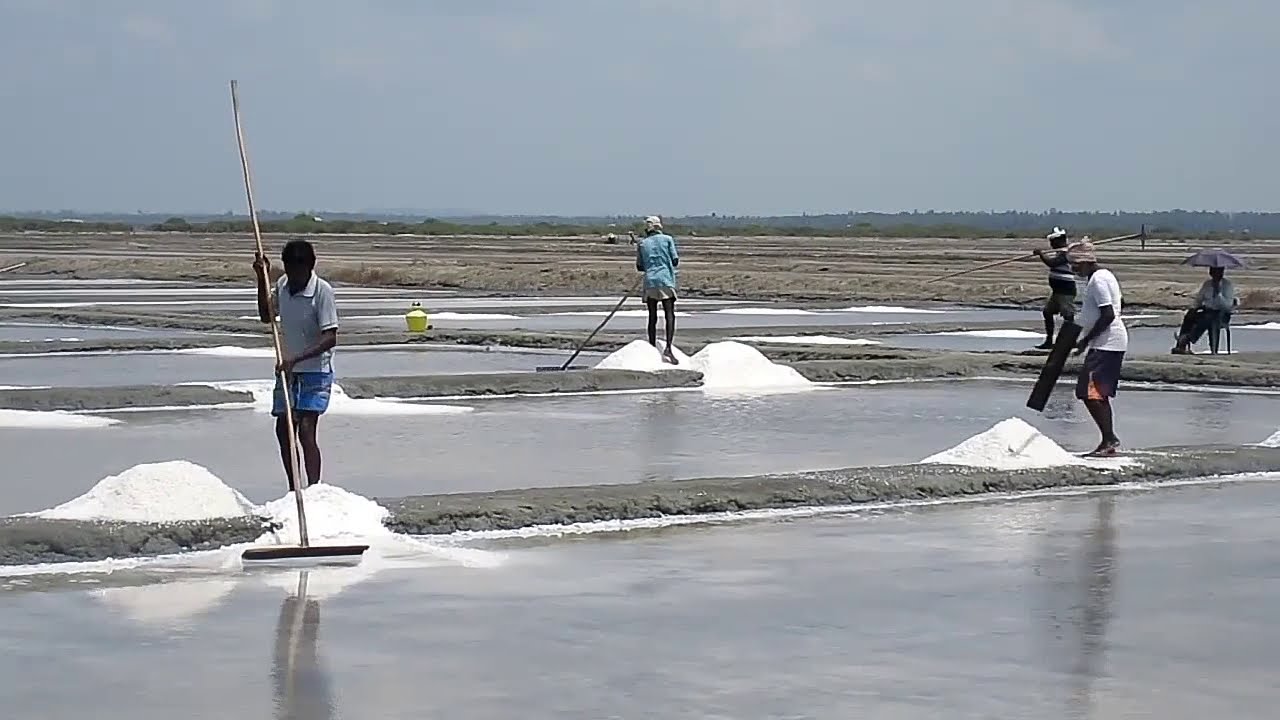 Traditional Salt farming India - YouTube