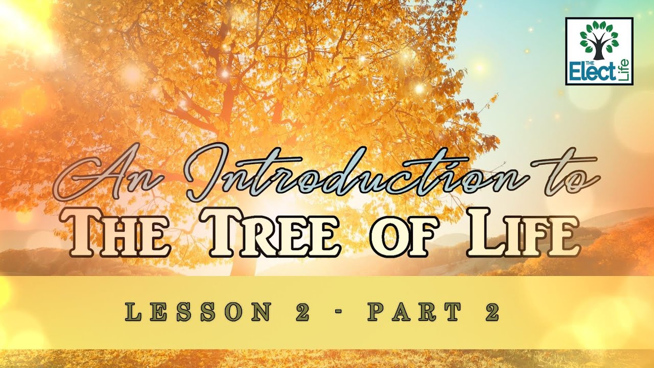 The Tree of Life: Lesson 2 - Part 2 (Understanding Archetypes in ...