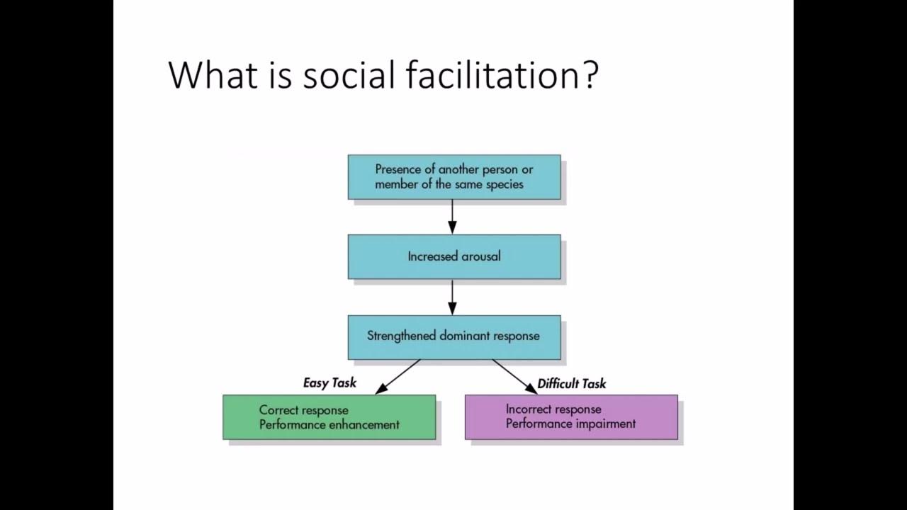 Social Psychology - Lecture 8 - Part 3 - Social Facilitation, Social ...