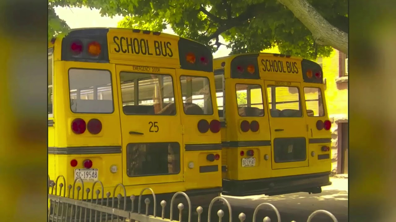 THROWBACK PICTURES OF WAYNE SCHOOL BUSES - YouTube