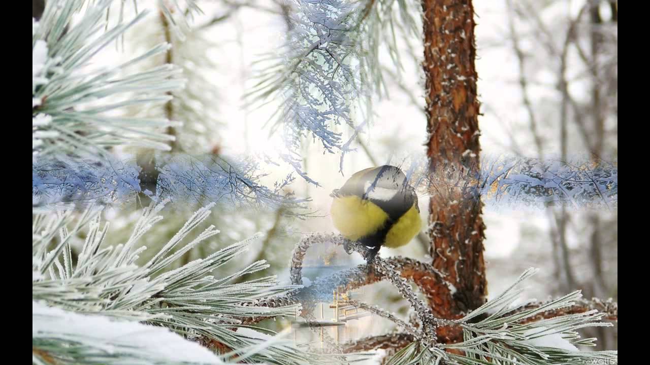 Snow in a Fairy Place - YouTube