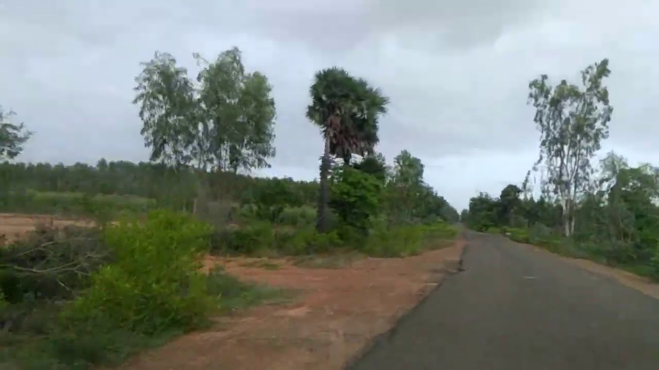 Neduvasal To Pudukkottai - YouTube