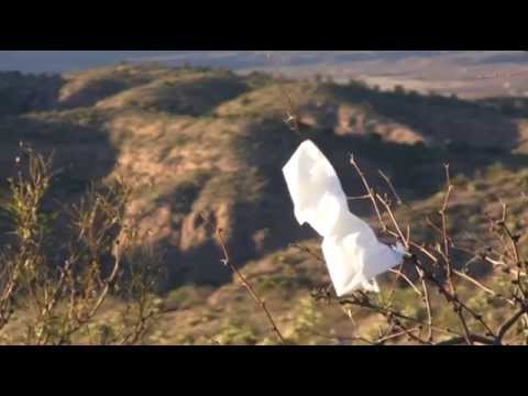 Backside of Desert #5 (Wm. Branham) 7 Angels Appear - YouTube