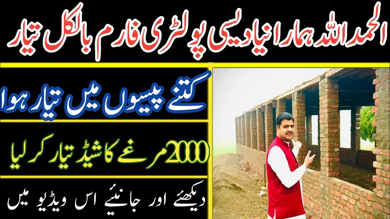 Alhamdulillah Hamara New Desi poultry farm Tyaar | Free Range Desi ...