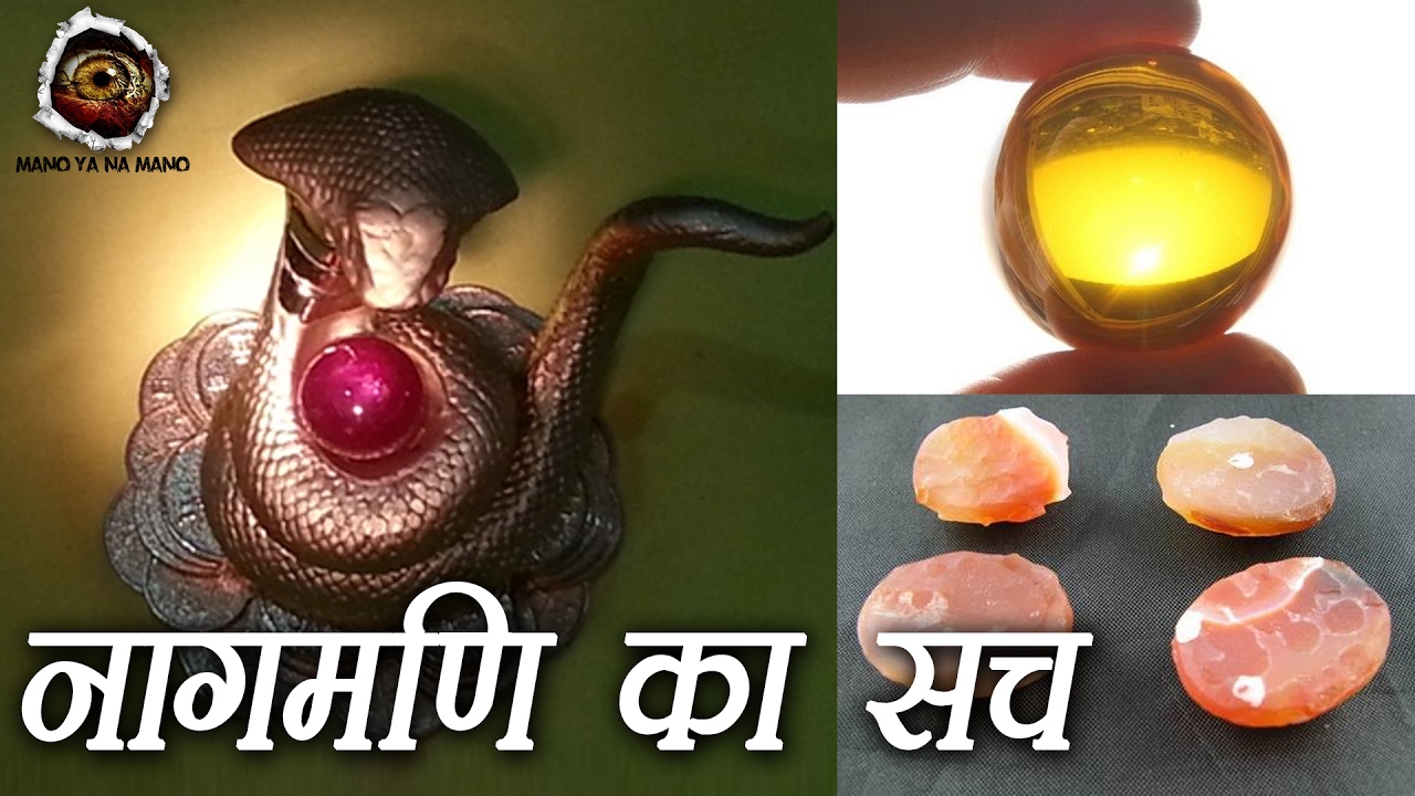 Nagmani Gem Stone | क्या है नागमणि के पीछे का सच | Mano Ya na mano ...