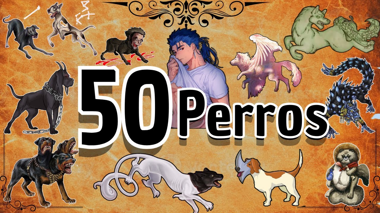 TOP 50 EPICOS perros mitológicos que NO CONOCIAS - YouTube