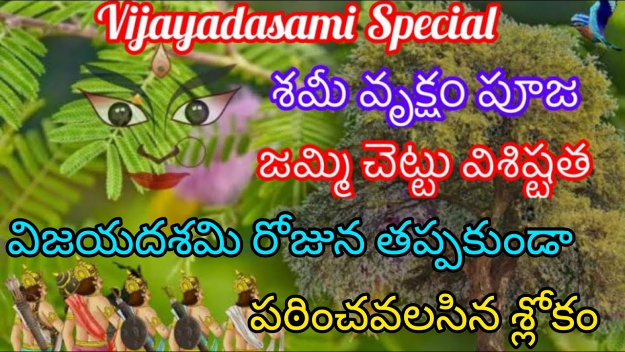 Jammi Chettu Pooja in Telugu || Jammi Chettu Vishistatha || Shami ...