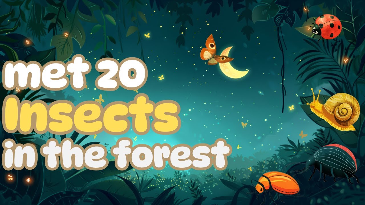 bedtime story for toddlers with calm music | Meet 20 amazing insects of ...
