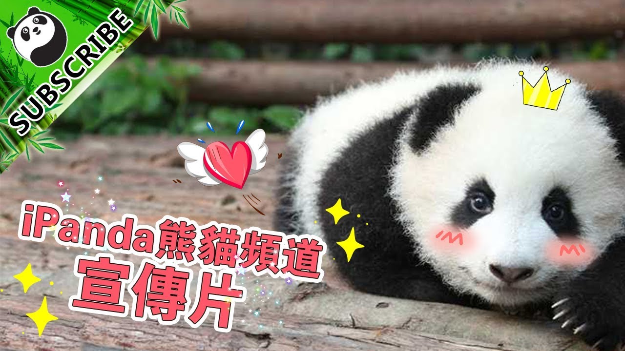 iPanda Chinese Channel Trailer - YouTube
