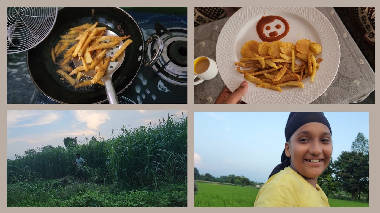 ਅੱਜ ਖਾਧੇ fries ਅਤੇ ਖੂਹ ਵਾਲੇ ਖੇਤਾਂ ਦੀ ਗੇੜੀ 😊😊/@Dhatt Family Vlogs - YouTube