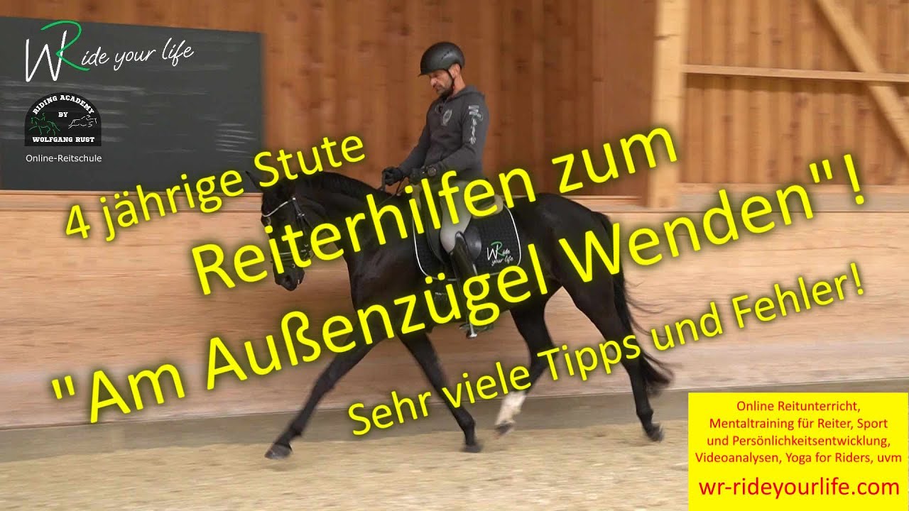 F172 Junge Pferde am Außenzügel reiten lernen, Reiterhilfen, Anlehnung ...