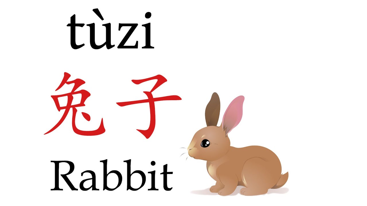 How to Pronounce 兔子 (Rabbit) in Mandarin Chinese - YouTube