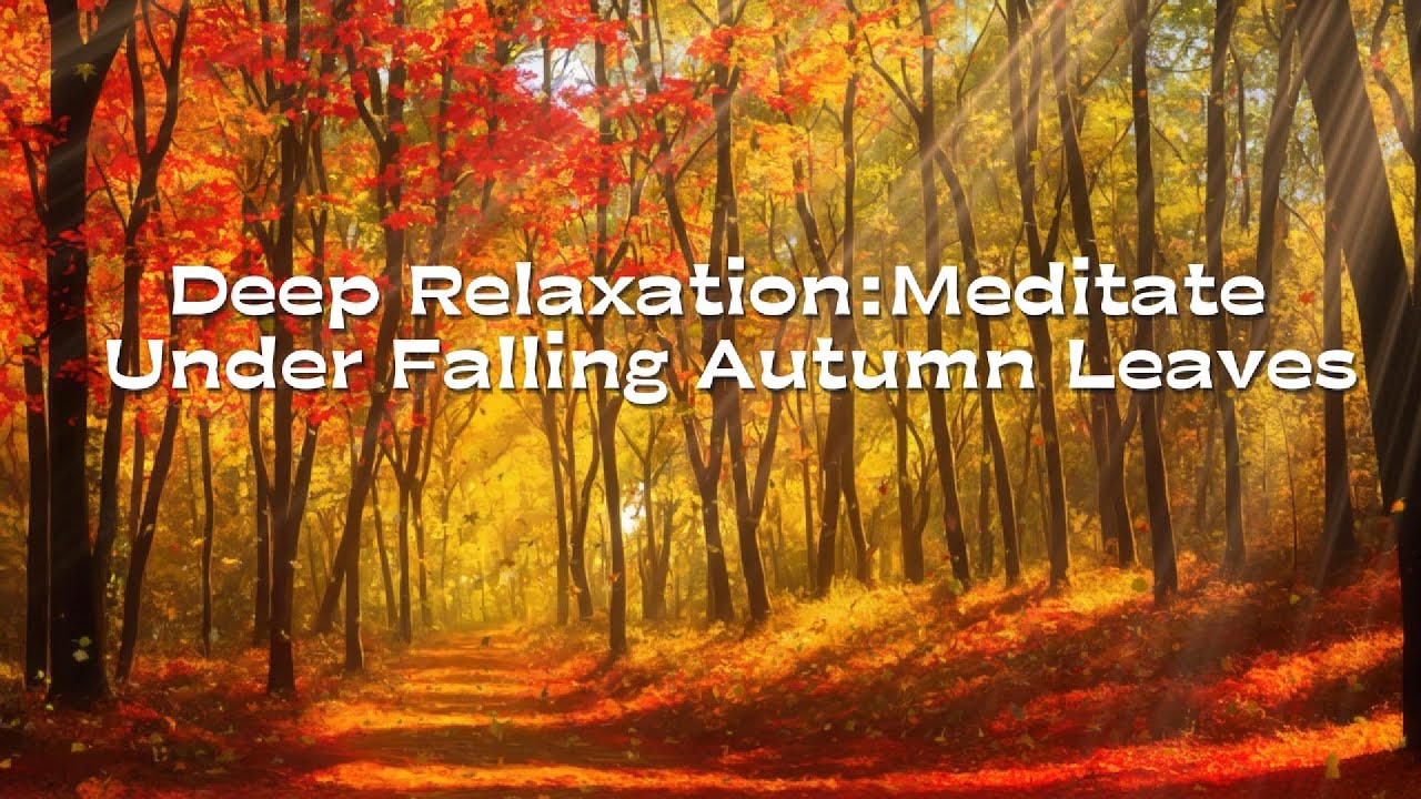 Deep Relaxation: Meditate Under Falling Autumn Leaves - YouTube