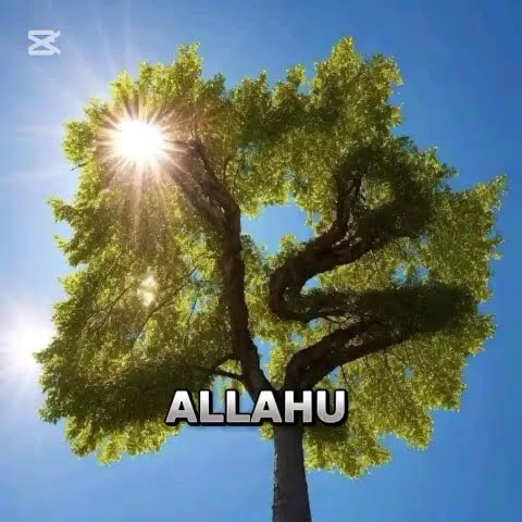 Allahu Akbar: Islamic Prayer | Edit For Muslim 👳‍♂️ | Calligraphy ...