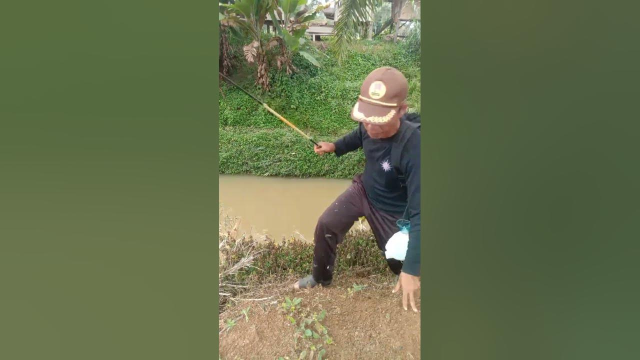 🔴 MANCING WADER DIBELAKANG RUMAH, SAMBIL NUNGGU BERBUKA PUASA - YouTube