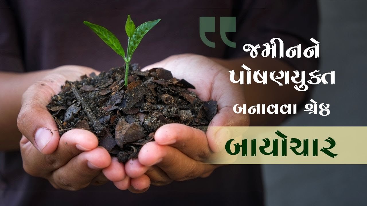 જમીનને પોષણયુક્ત બનાવવા શ્રેષ્ઠ બાયોચાર | Biochar is Best For Soil ...