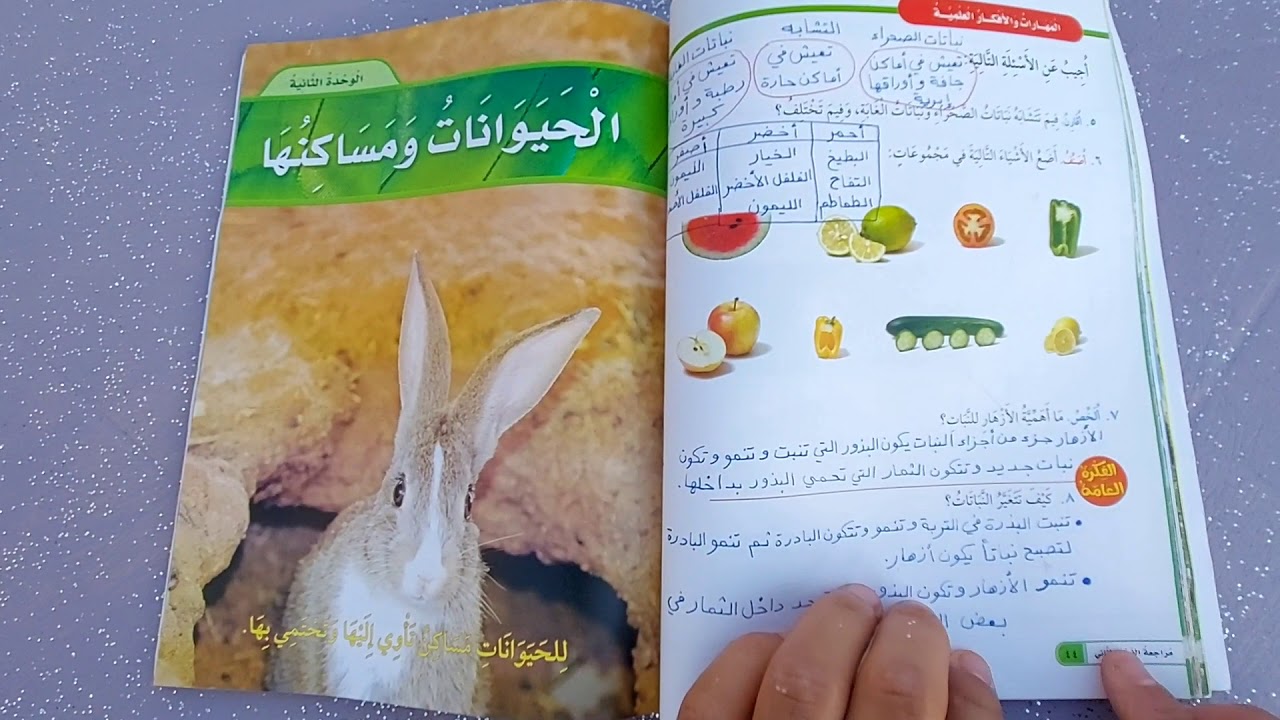 حل كتاب العلوم اول ابتدائي الفصل الاول Youtube