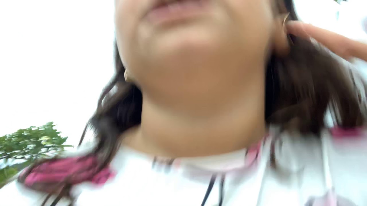 Trolei Minha Amiga Youtube