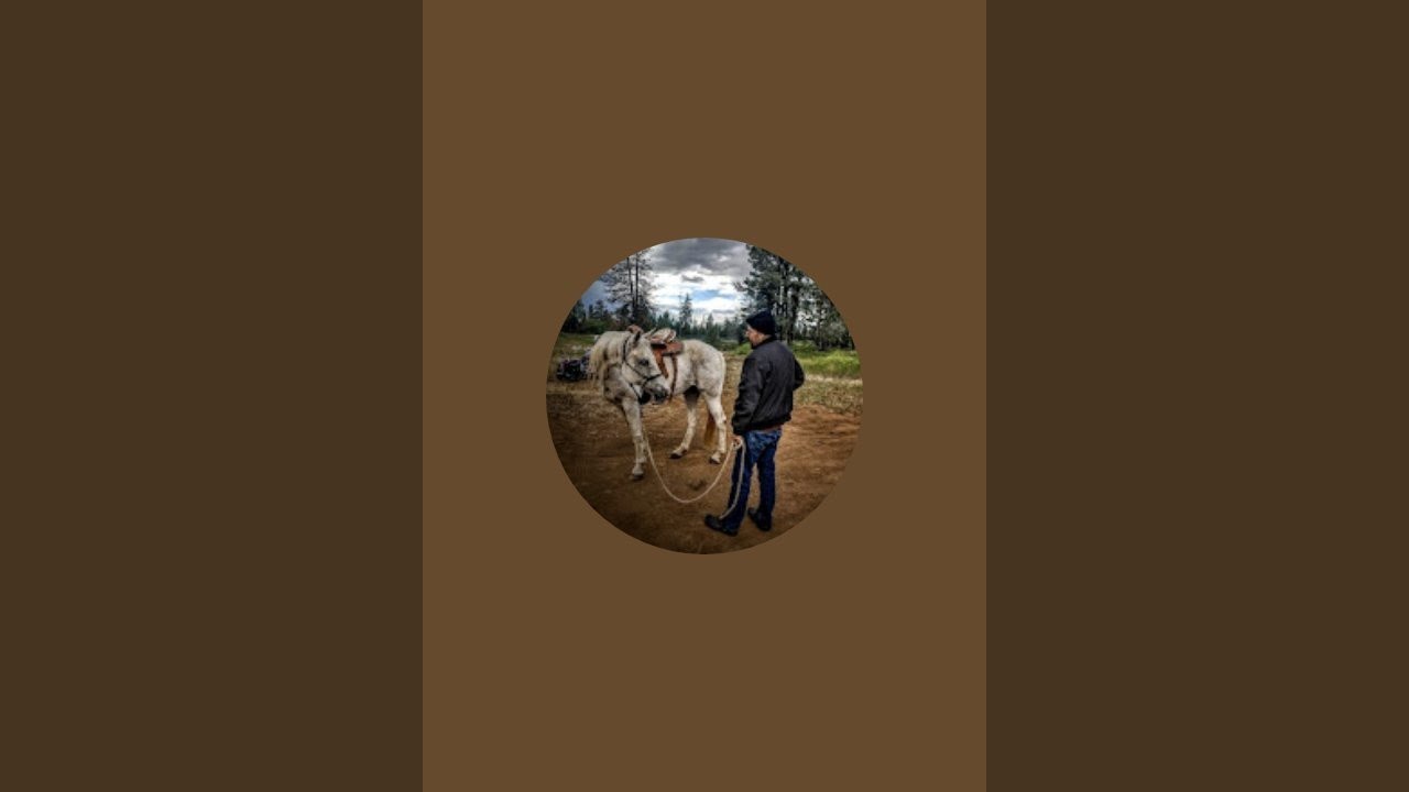 kb7ara-r n6jxn this net is everyday at 8am pst 1.24.25 - YouTube