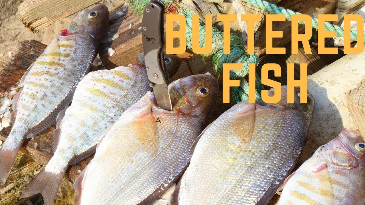 Catch and Cook on a Secluded Beach, Ocean's Surf (Buttered Fish)! - YouTube