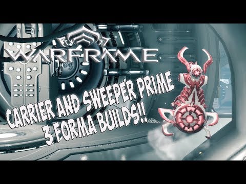 Warframe Guide | Carrier and Sweeper Prime Build | Warframe Tutorial
