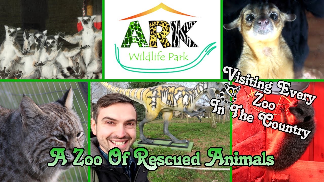 Ark Wildlife Park, A Zoo Of Rescued Animals - YouTube