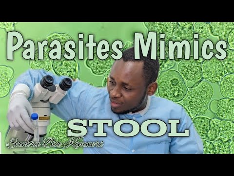 Stool Parasites Mimics | Swahili | SBK-LT - YouTube