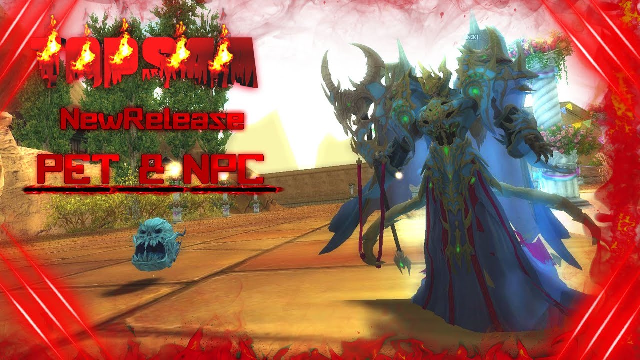 VSRO New Pet Grab Ghost & NPC v7 🔥Silkroad Online🔥 by TopS4a - YouTube