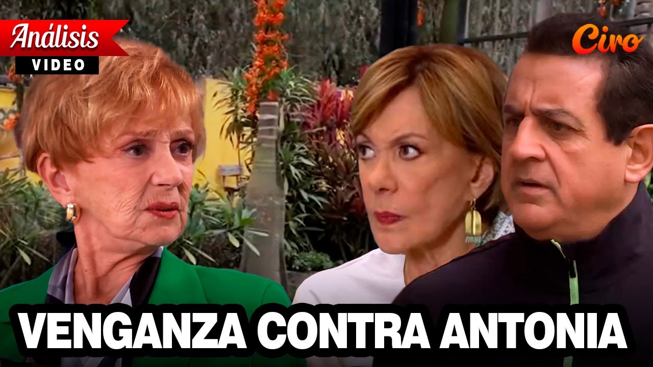 Venganza contra Antonia | Al Fondo Hay Sitio 12 - YouTube