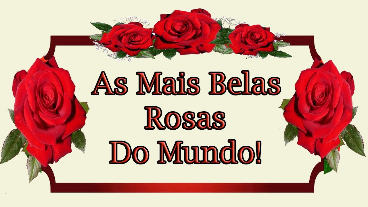 AS MAIS BELAS ROSAS DO MUNDO 🌹🌷💐 - YouTube