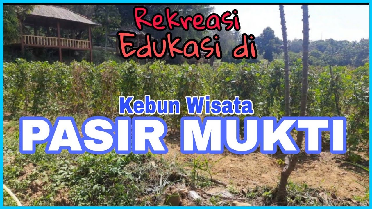 Rekreasi Edukasi di Kebun Wisata PASIR MUKTI Citeureup - YouTube