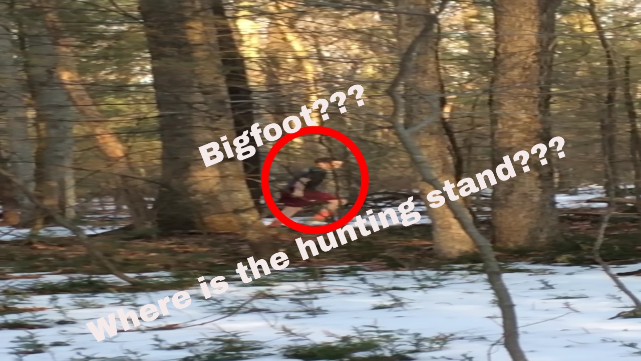 MYSTERIOUS HUNTING STAND FOUND!? OVLO Vloggers exploration pt. 1 - YouTube