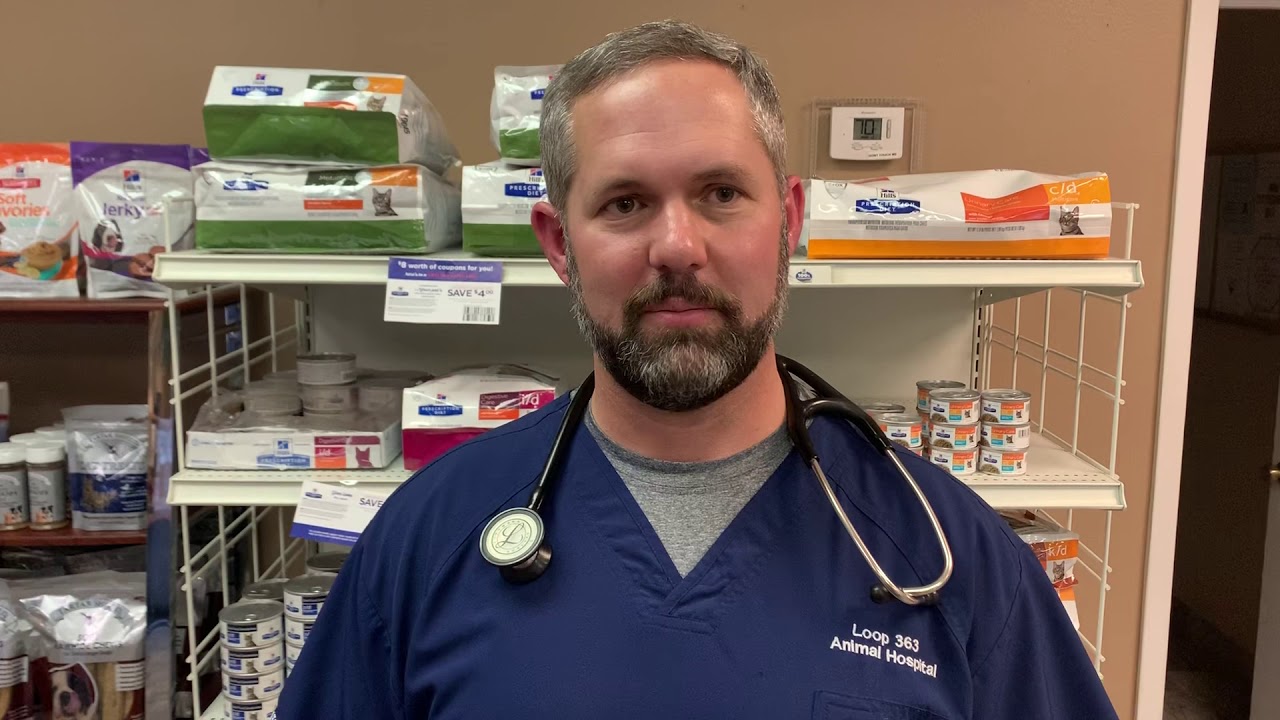 RTUI Loop 363 - YouTube