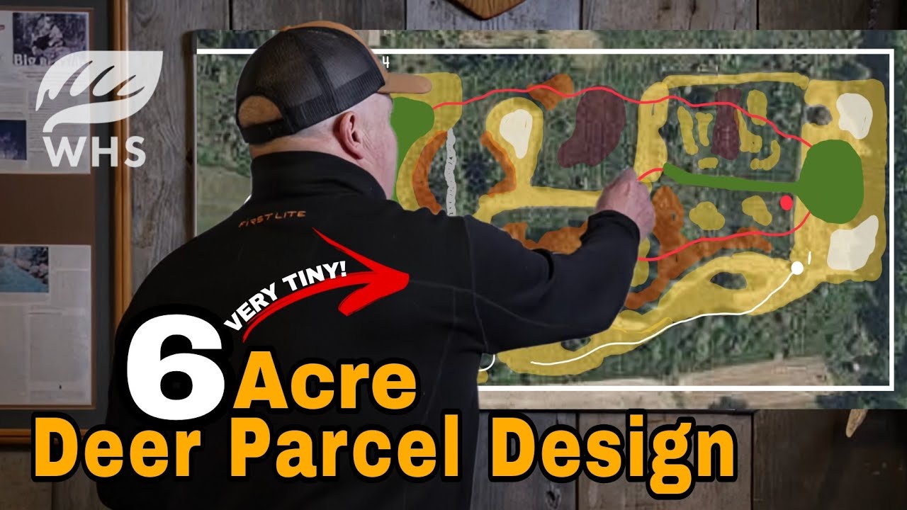 6 Acre Field Deer Parcel Design - YouTube