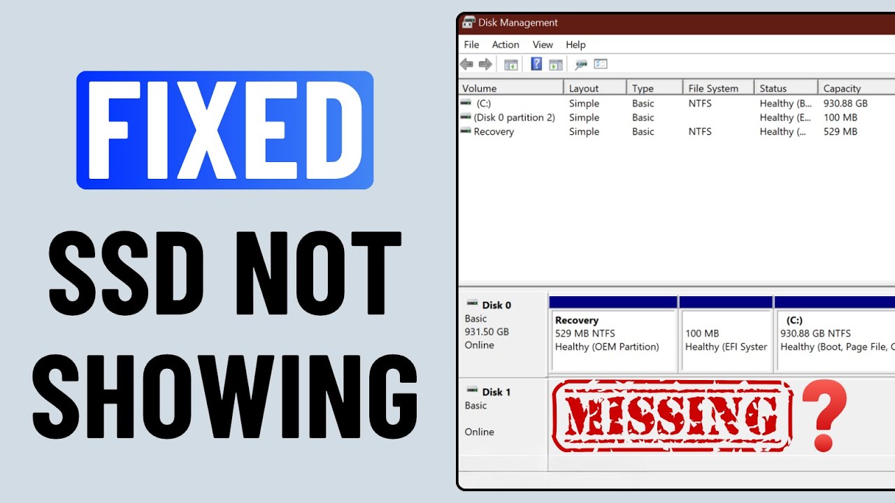 [FIXED] SSD Not Showing in Disk Management on Windows 11/10 (in 30 ...