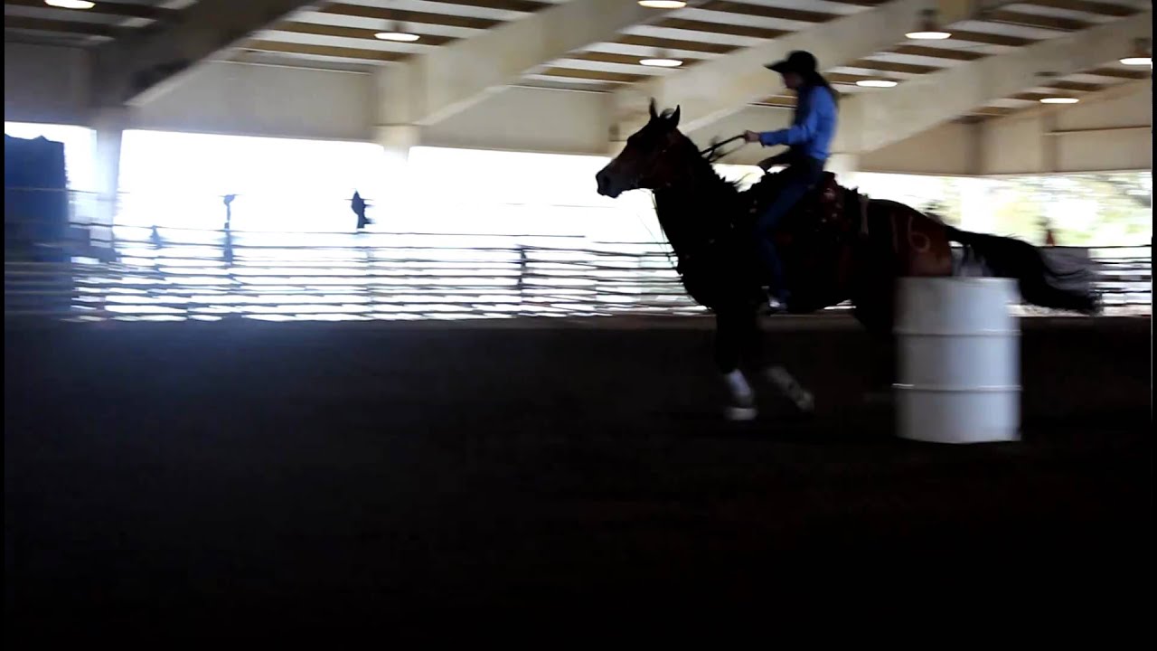 Kelly Ficklin & DHR Whatta Money Man - 15.606 - 1D - YouTube