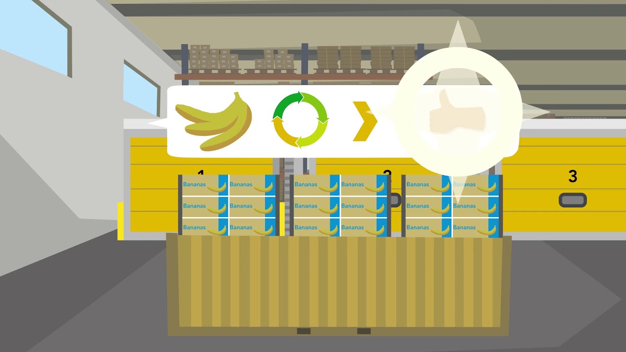 Banana Planning and Ripening Software FIPS - YouTube