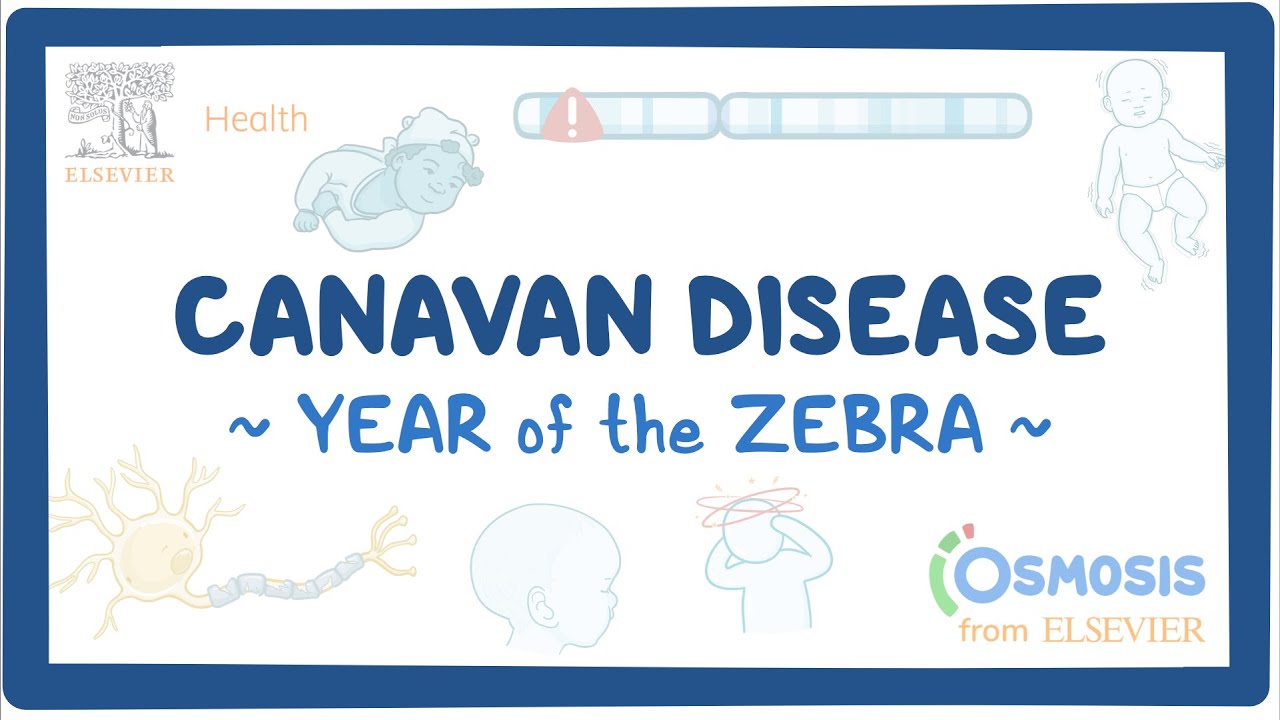 Canavan disease (Year of the Zebra) - YouTube